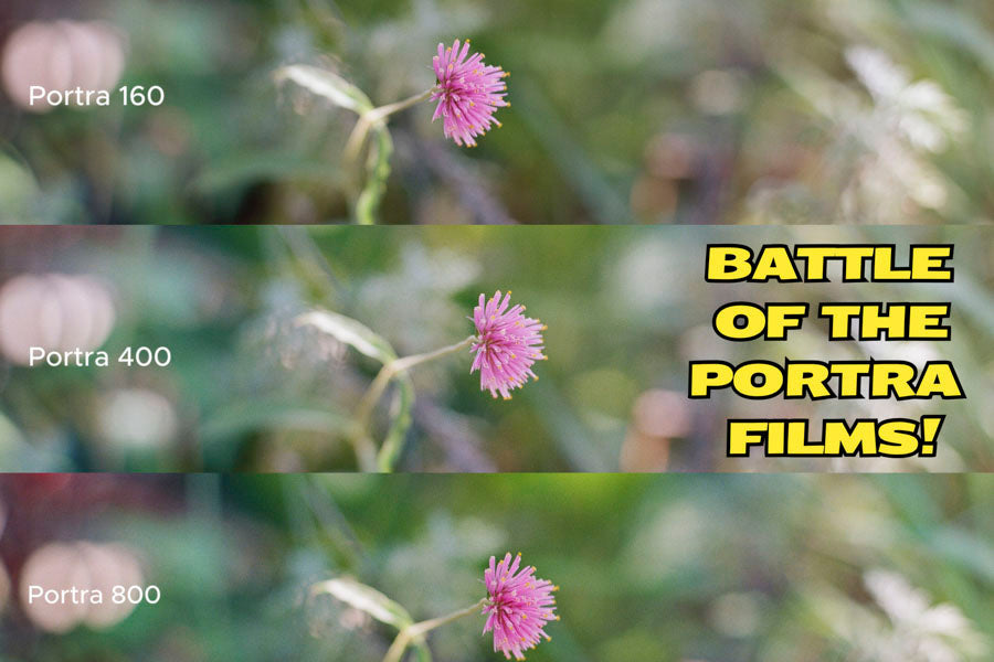 Kodak Portra 160 vs 400 vs 800 – Reformed Film Lab
